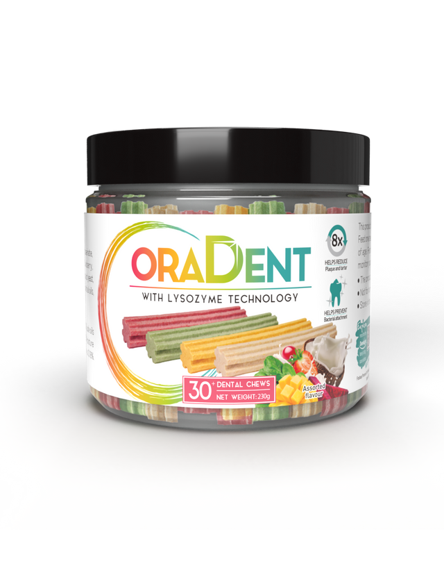 Our Products | Dentalight Brand